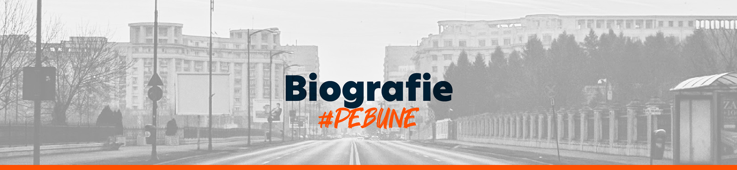 Biografie - Alexandru Dimitriu